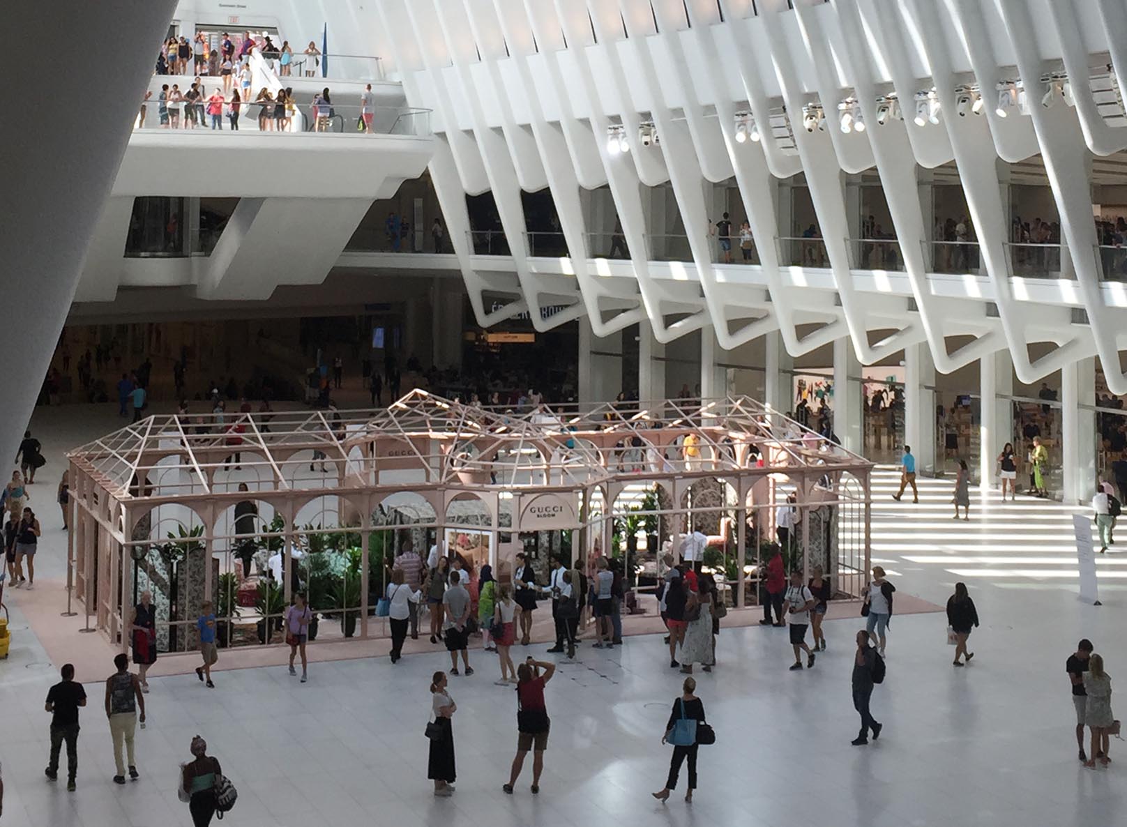 Gucci - Piddi Design